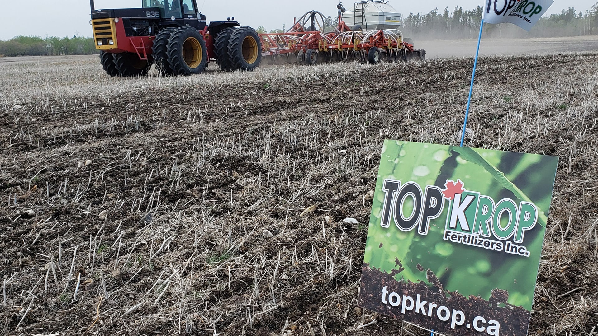 The Benefits of Using Humic During Seeding - TopKrop